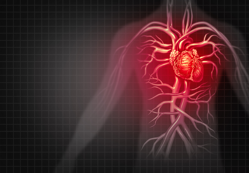 New Studies Shed Light On How Best To Guide Heart Artery Procedures new-studies-shed-light-on-how-best-to-guide-heart-artery-procedures